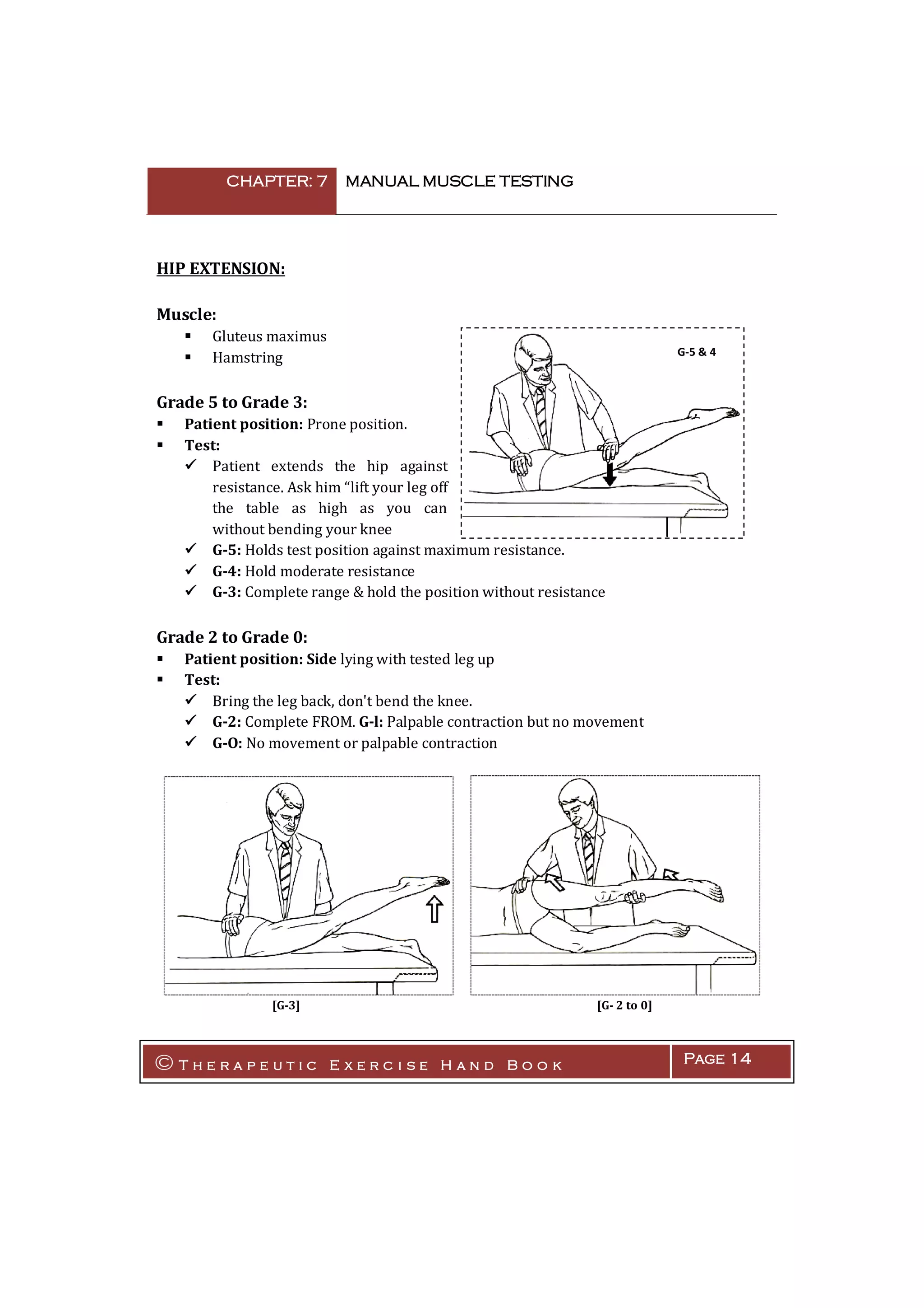 Manual muscle testing | PDF