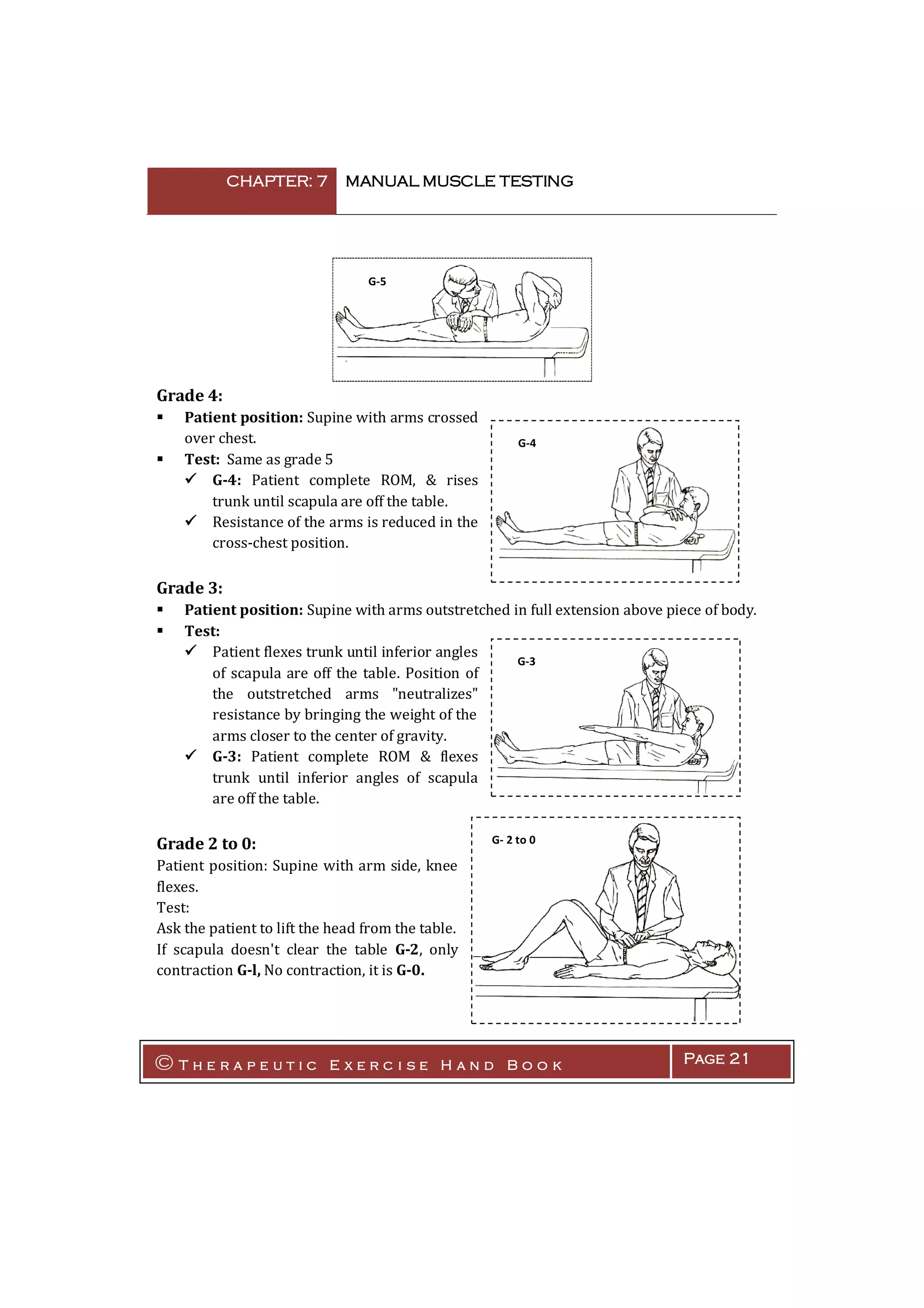 Manual muscle testing | PDF