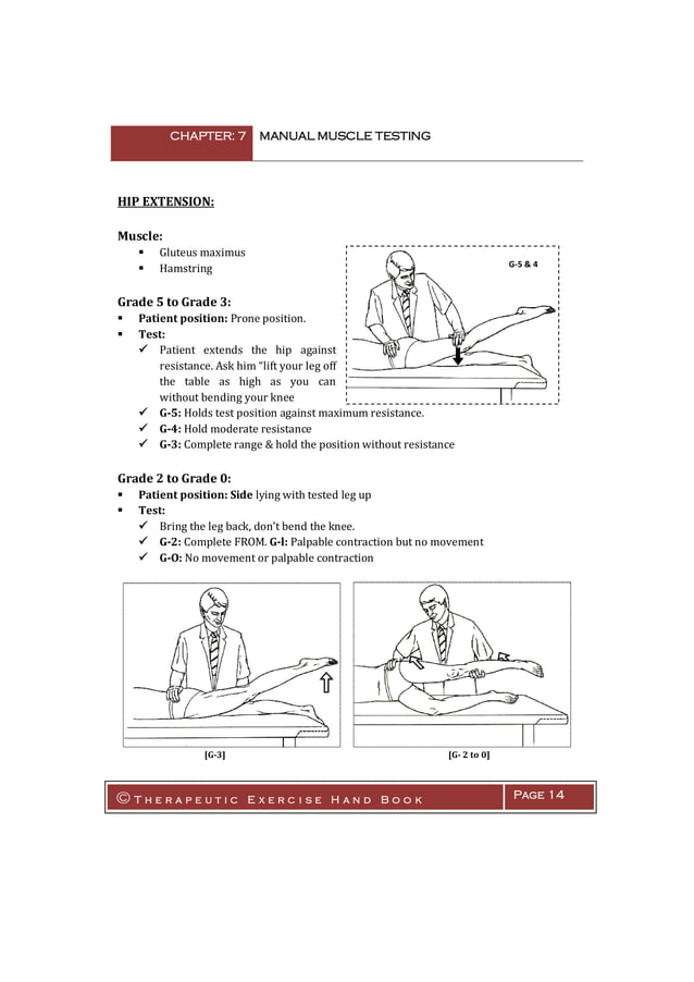 Manual muscle testing | PDF | Death, Injury, or Military Conflict ...