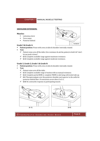 Manual muscle testing | PDF