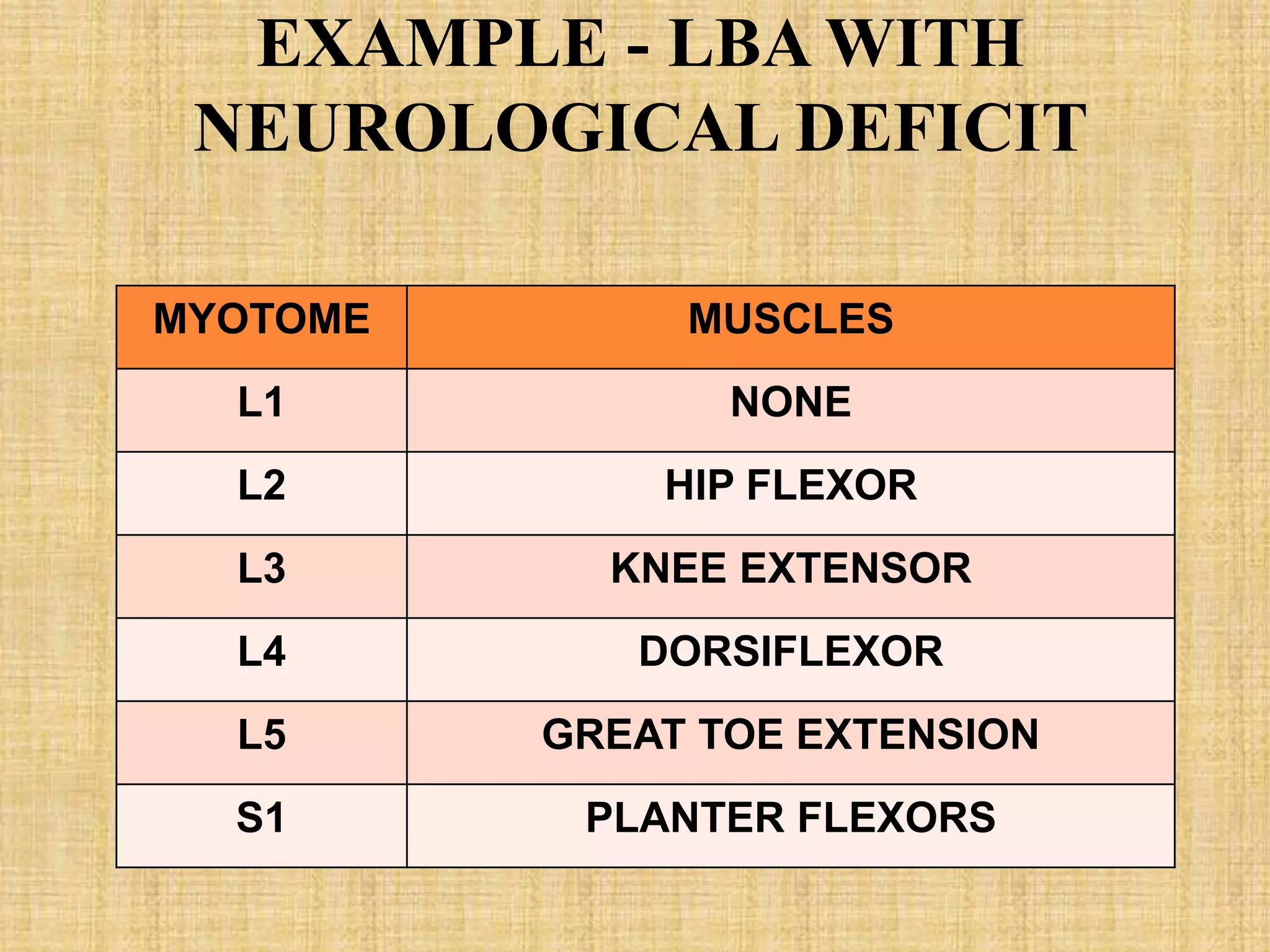 Manual Muscle Testing (MMT) | PPTX