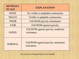 Manual Muscle Testing (MMT) | PPTX