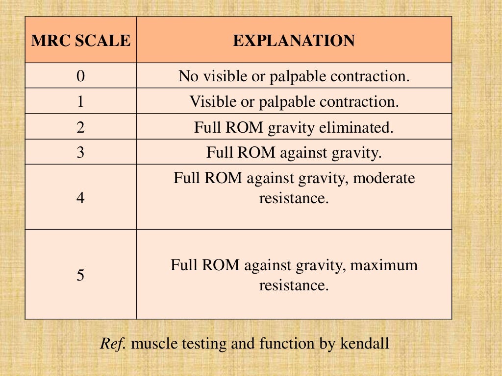 Manual Muscle Testing (MMT)