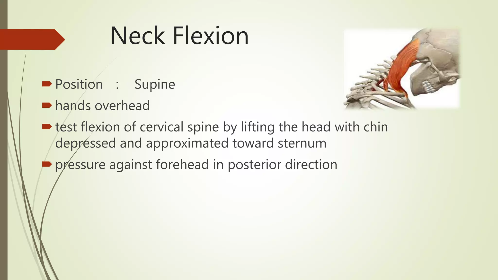 Manual Muscle Testing For Trunk, Neck & Face | PPTX