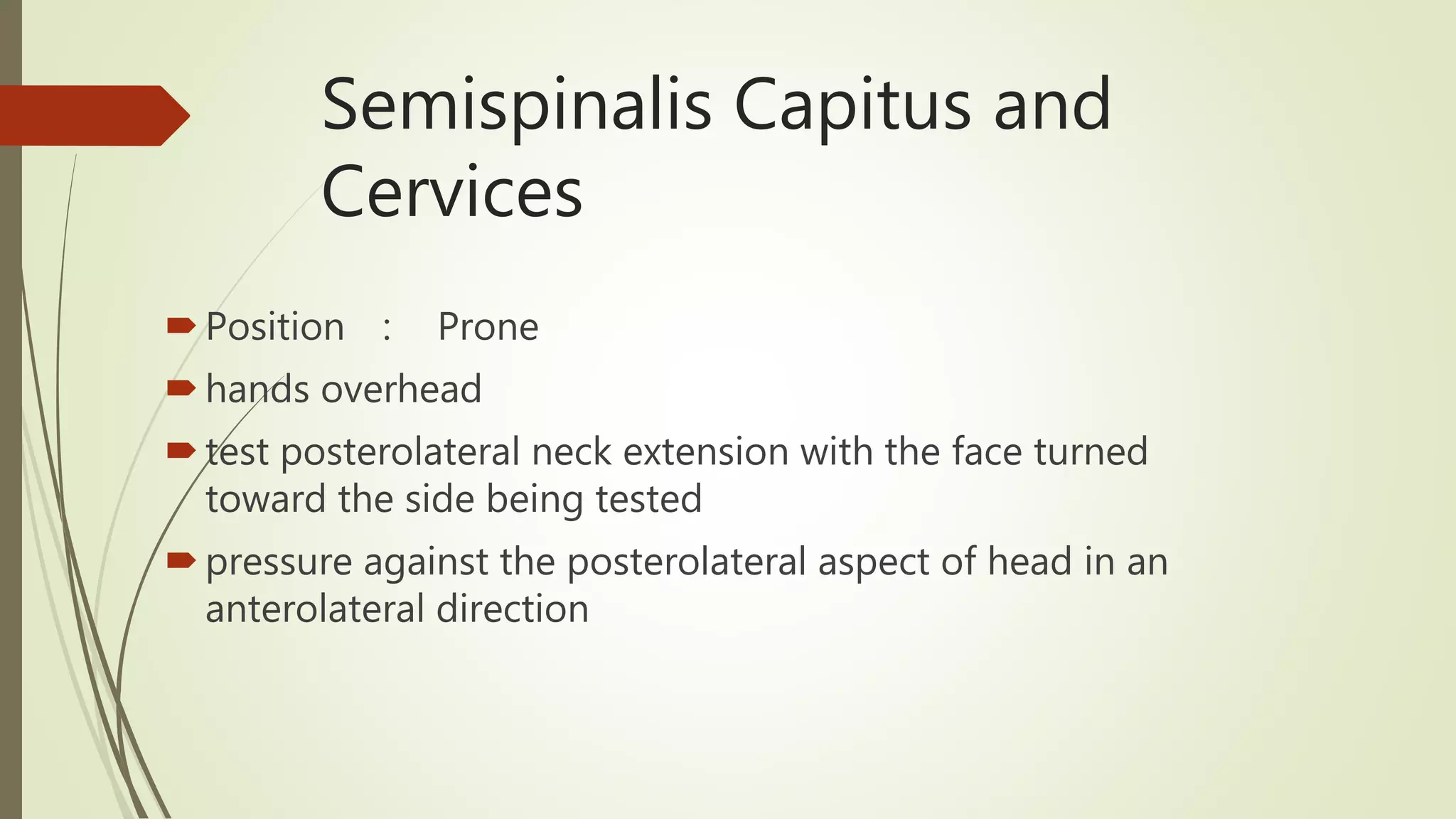 Manual Muscle Testing For Trunk, Neck & Face | PPTX