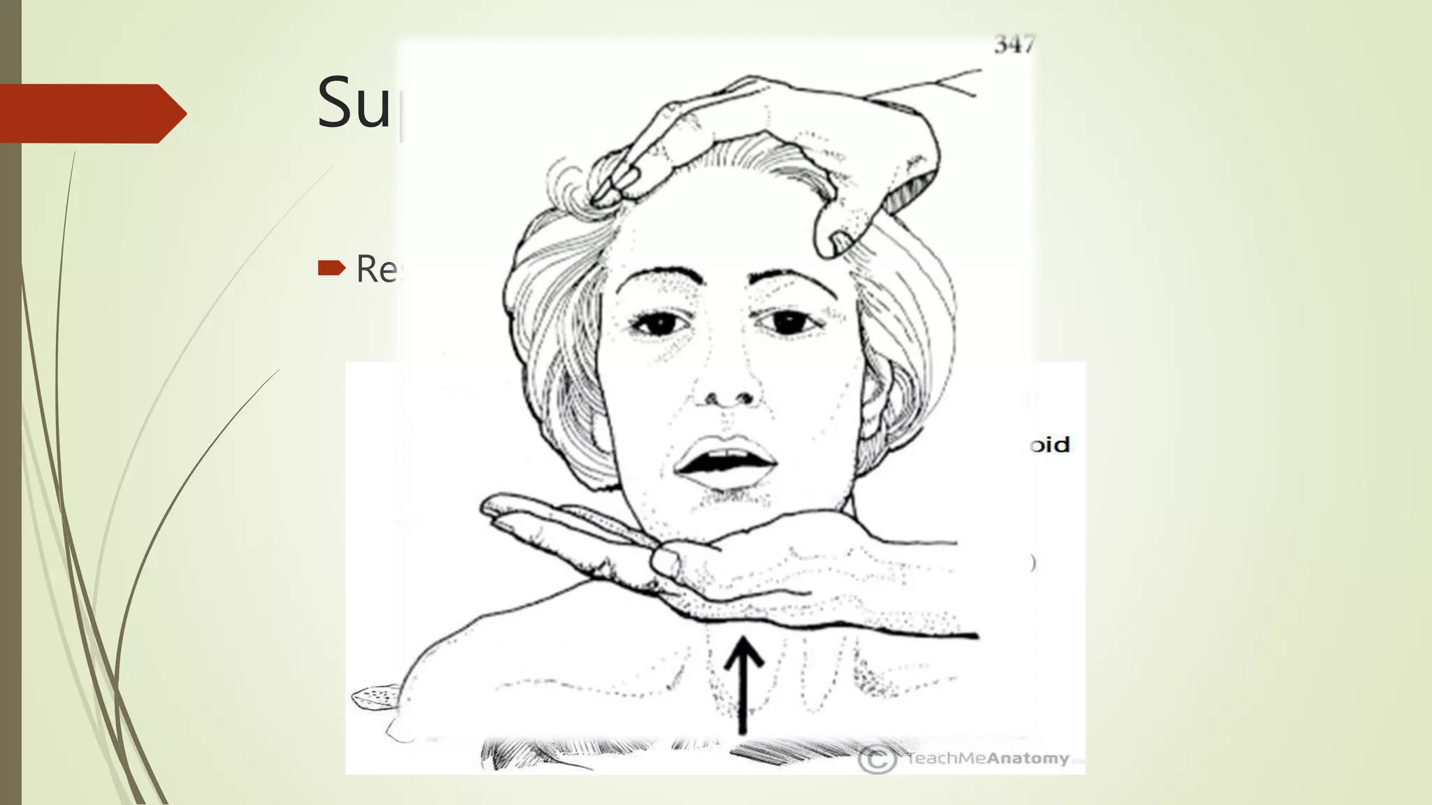 Manual Muscle Testing For Trunk, Neck & Face | PPTX