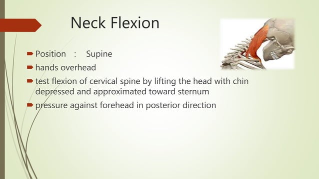 Manual Muscle Testing For Trunk, Neck & Face | PPTX