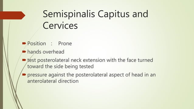 Manual Muscle Testing For Trunk, Neck & Face | PPTX