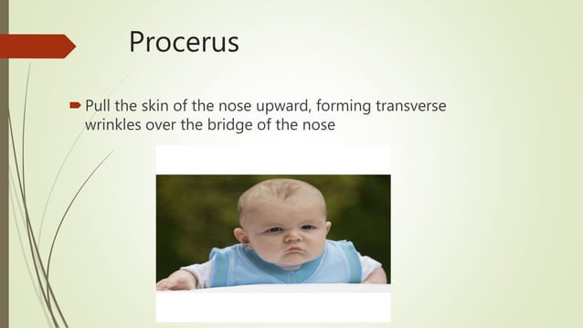 Manual Muscle Testing For Trunk, Neck & Face | PPTX