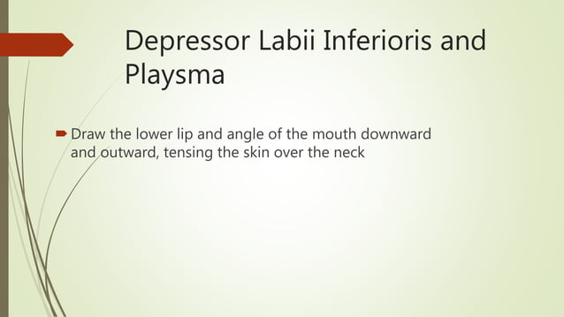 Manual Muscle Testing For Trunk, Neck & Face | PPTX