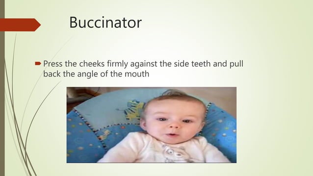 Manual Muscle Testing For Trunk, Neck & Face | PPTX