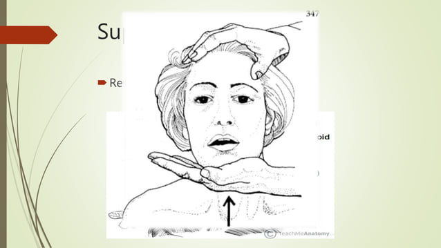 Manual Muscle Testing For Trunk, Neck & Face | PPTX