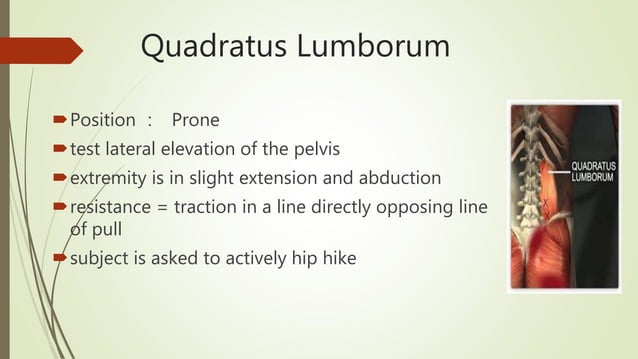Manual Muscle Testing For Trunk, Neck & Face | PPTX