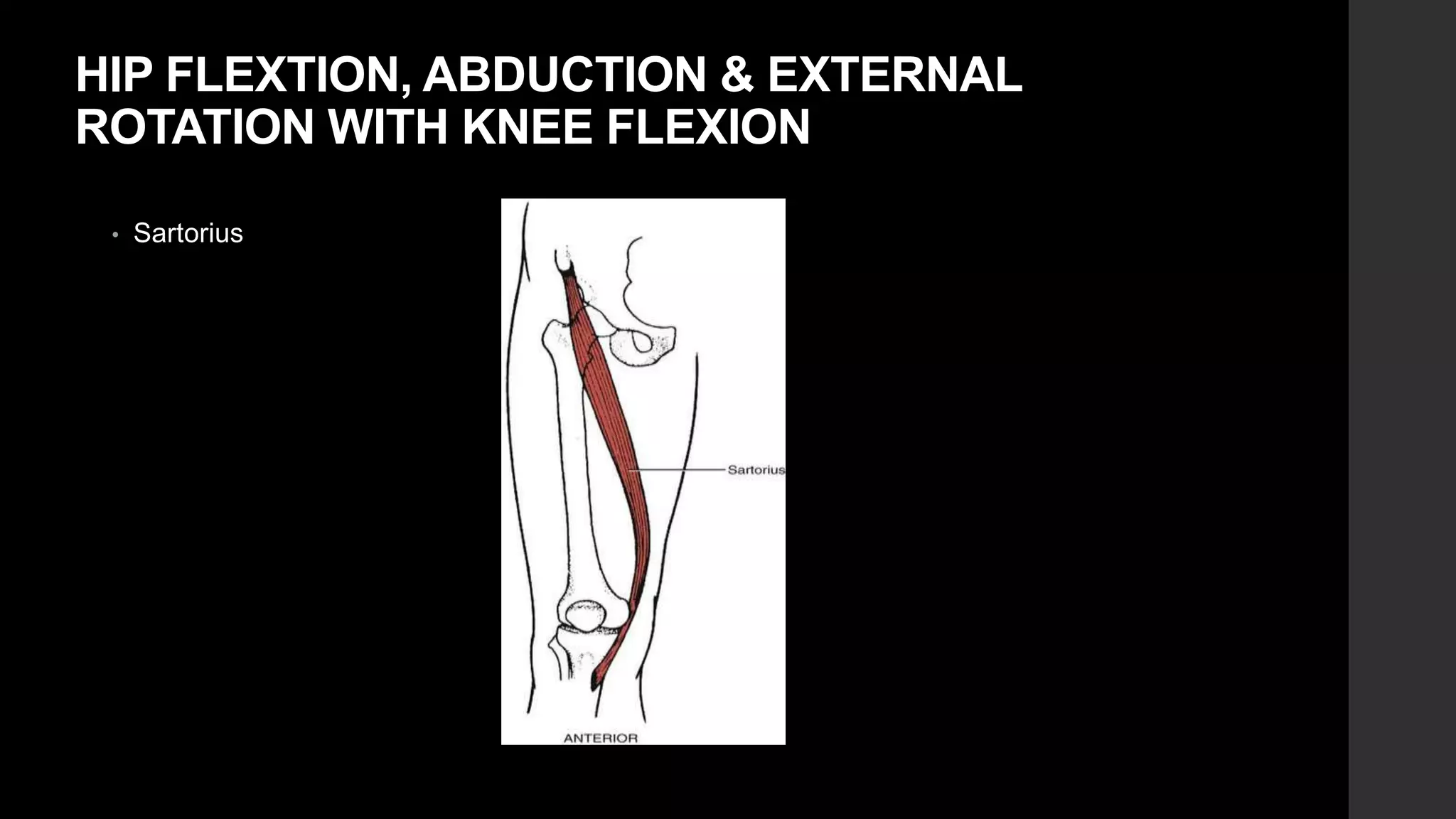 MANUAL MUSCLE TESTING (MMT).pptx