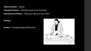 MANUAL MUSCLE TESTING (MMT).pptx