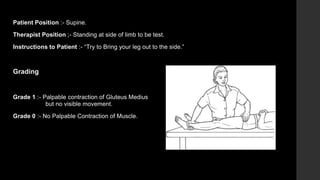 MANUAL MUSCLE TESTING (MMT).pptx