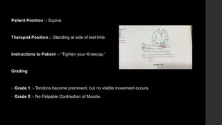 MANUAL MUSCLE TESTING (MMT).pptx