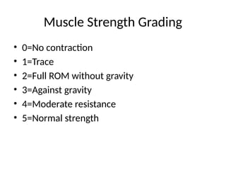 Comprehensive Manual Muscle Testing Techniques for Clinical Assessment ...