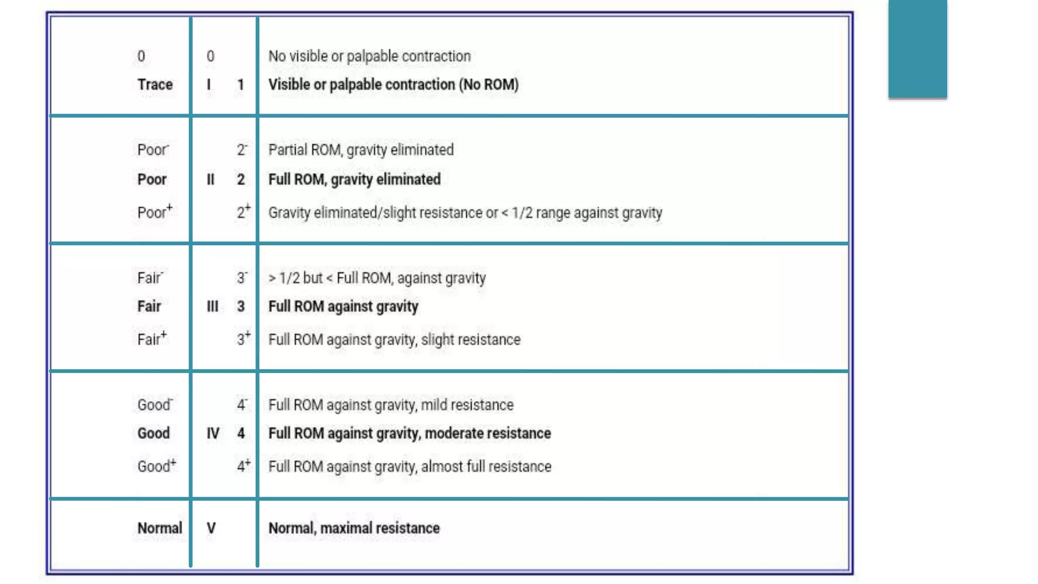 Manual muscle test (MMT) | PPTX