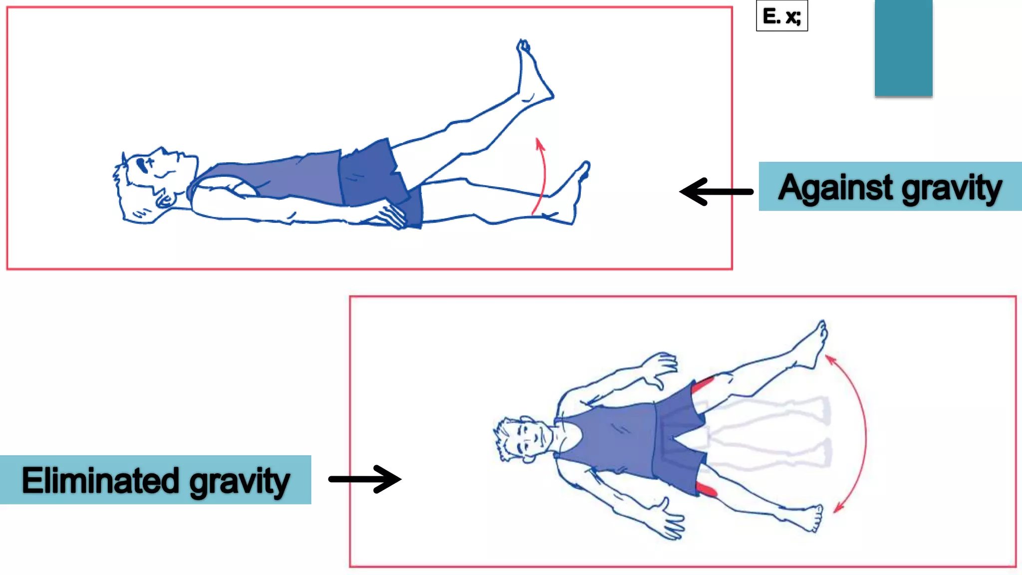 Manual muscle test (MMT) | PPTX