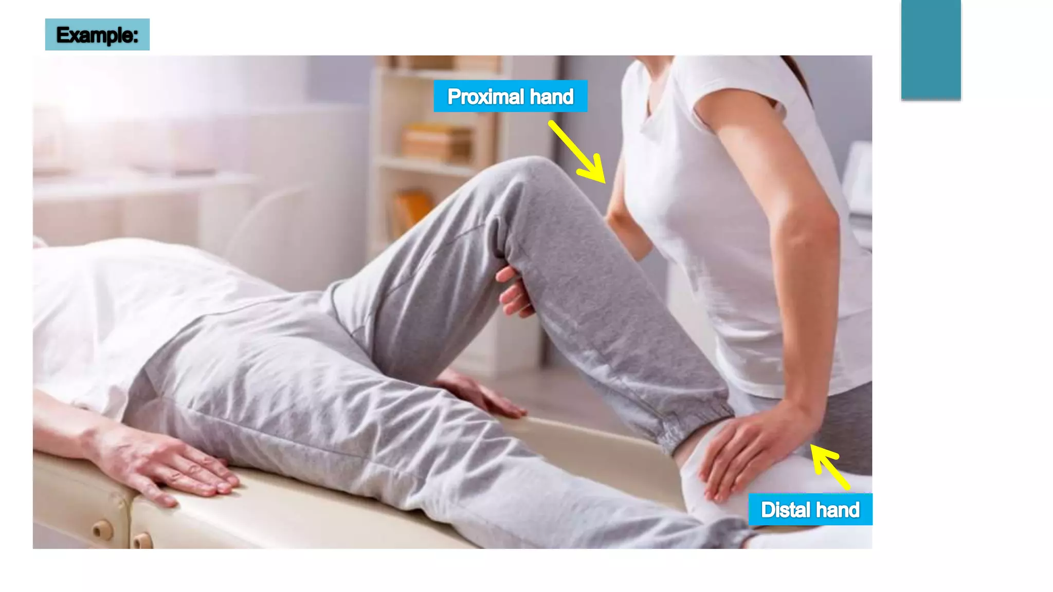 Manual muscle test (MMT) | PPTX