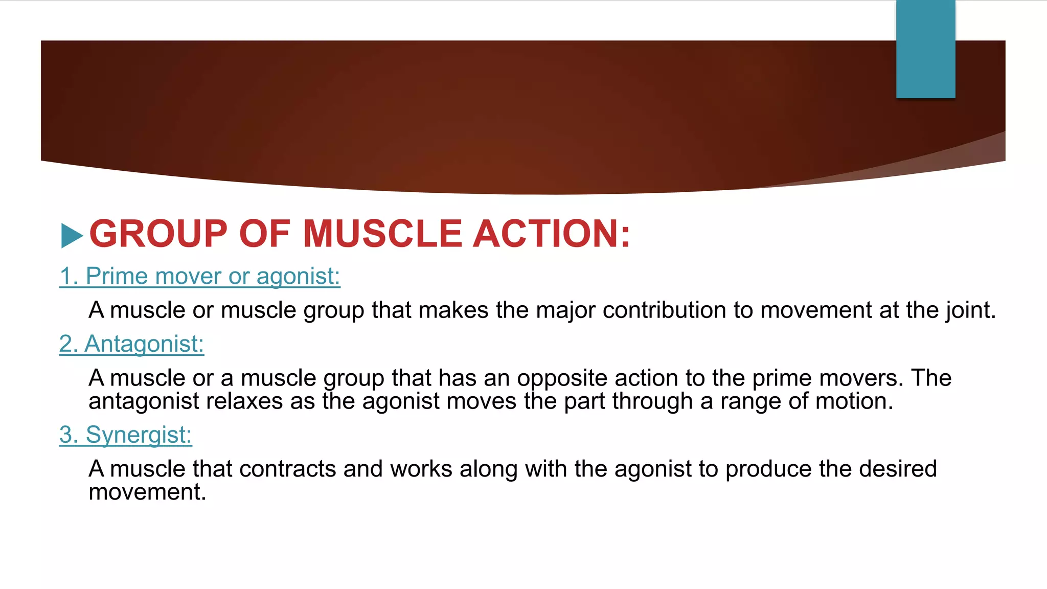 Manual muscle test (MMT) | PPTX