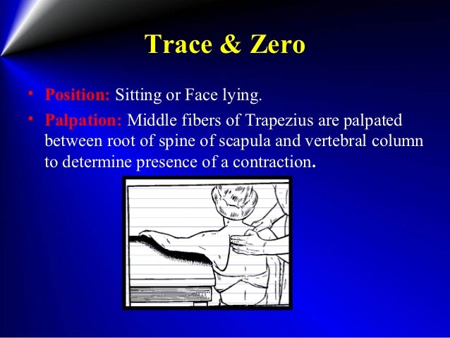 Manual musle testing