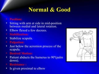 Manualmusletesting 121 150 | PPT