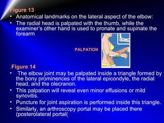 Manualmusletesting 181 210 | PPT