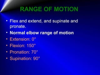 Manualmusletesting 181 210 | PPT
