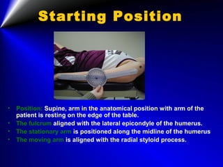 Manualmusletesting 181 210 | PPT