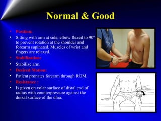 Manualmusletesting 241 270 | PPT