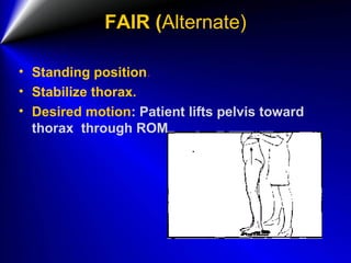 Manualmusletesting 391 420 | PPT