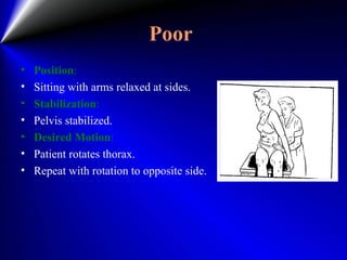 Manualmusletesting 391 420 | PPT