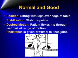 Manualmusletesting 391 420 | PPT