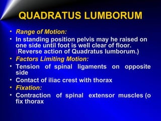 Manualmusletesting 391 420 | PPT