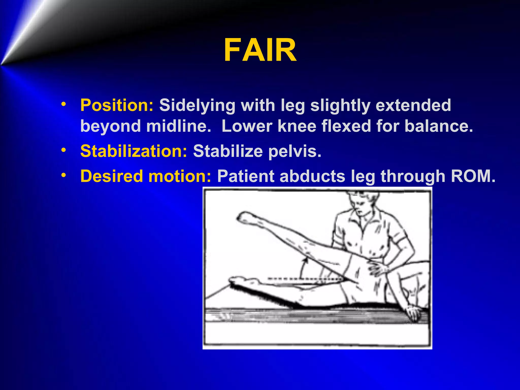 Manualmusletesting 421 450 | PDF