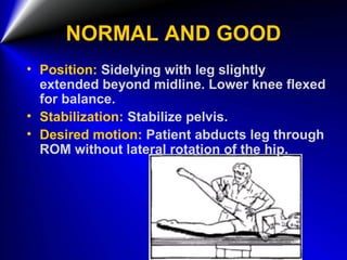 Manualmusletesting 421 450 | PPT