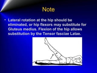 Manualmusletesting 421 450 | PPT