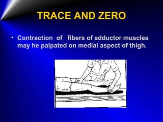 Manualmusletesting 421 450 | PPT