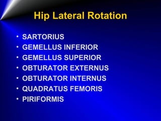 Manualmusletesting 421 450 | PPT