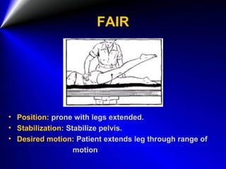 Manualmusletesting 421 450 | PPT