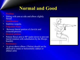 Manualmusletesting 91 20 | PDF