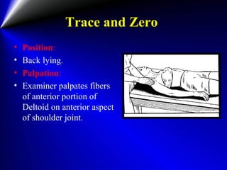 Manualmusletesting 91 20 | PDF