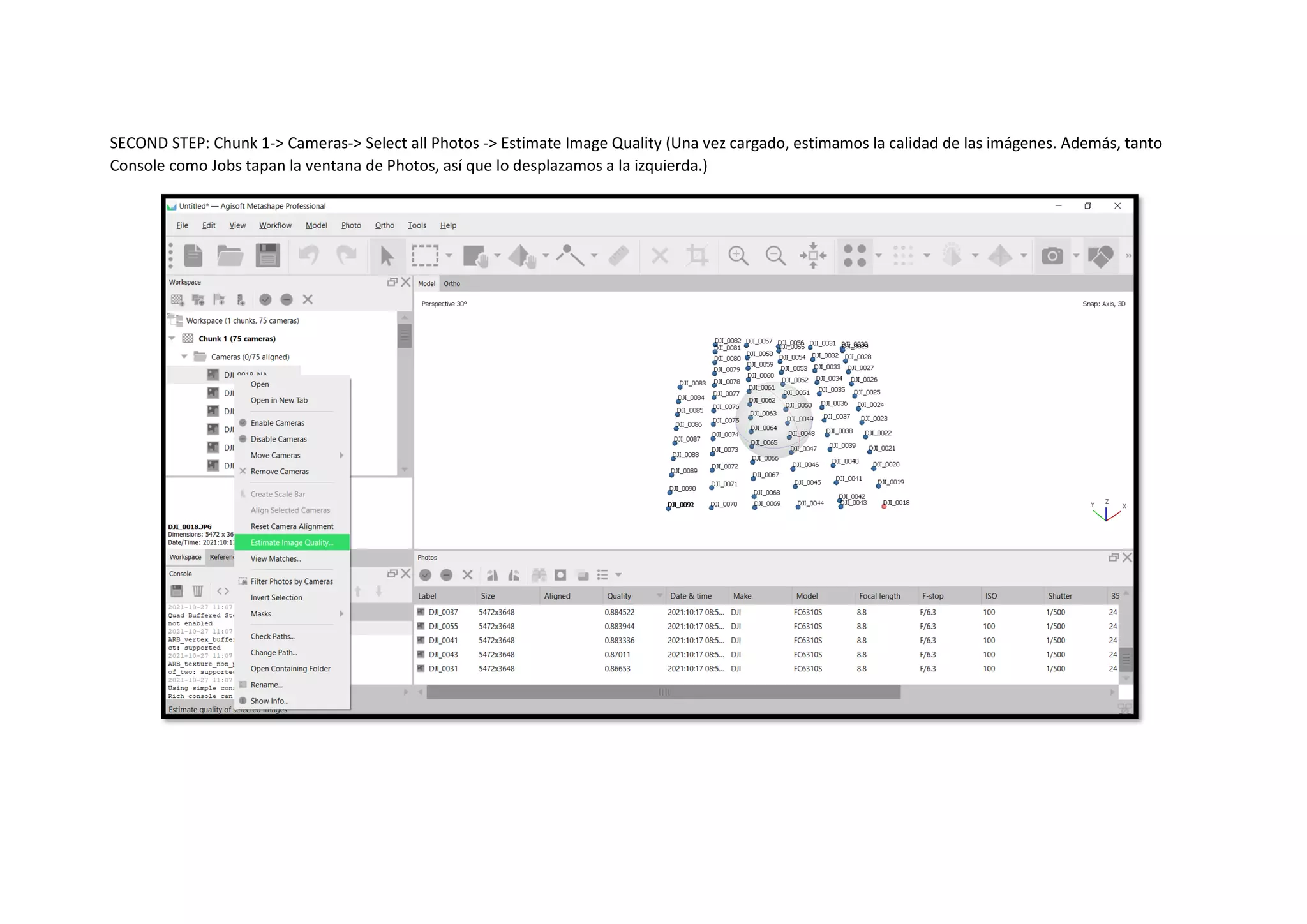 Manual of Agisoft Metashape Professional | PDF