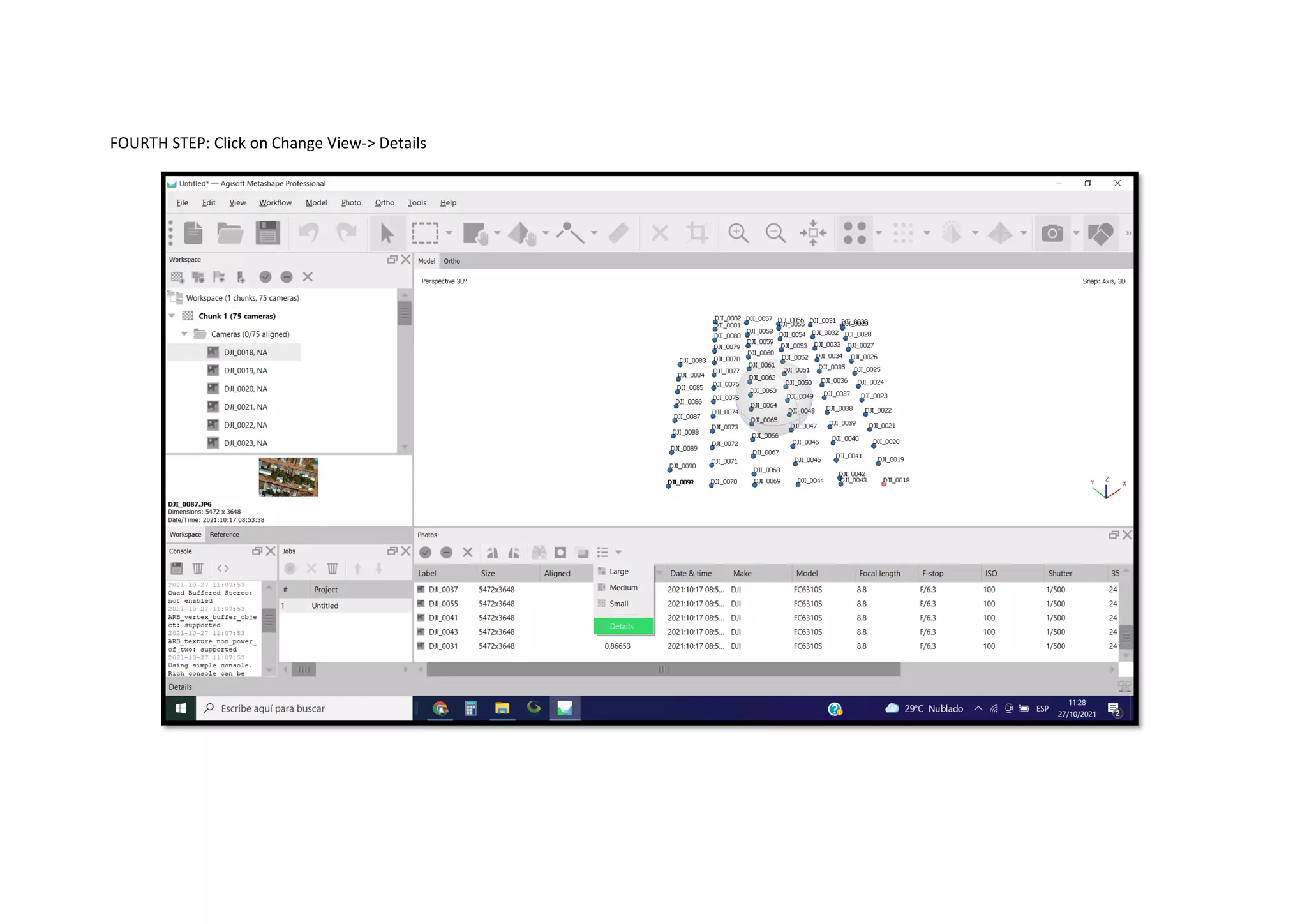 Manual of Agisoft Metashape Professional | PDF