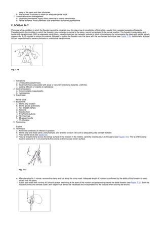 Manual of common bedside surgical procedures 2ed | PDF