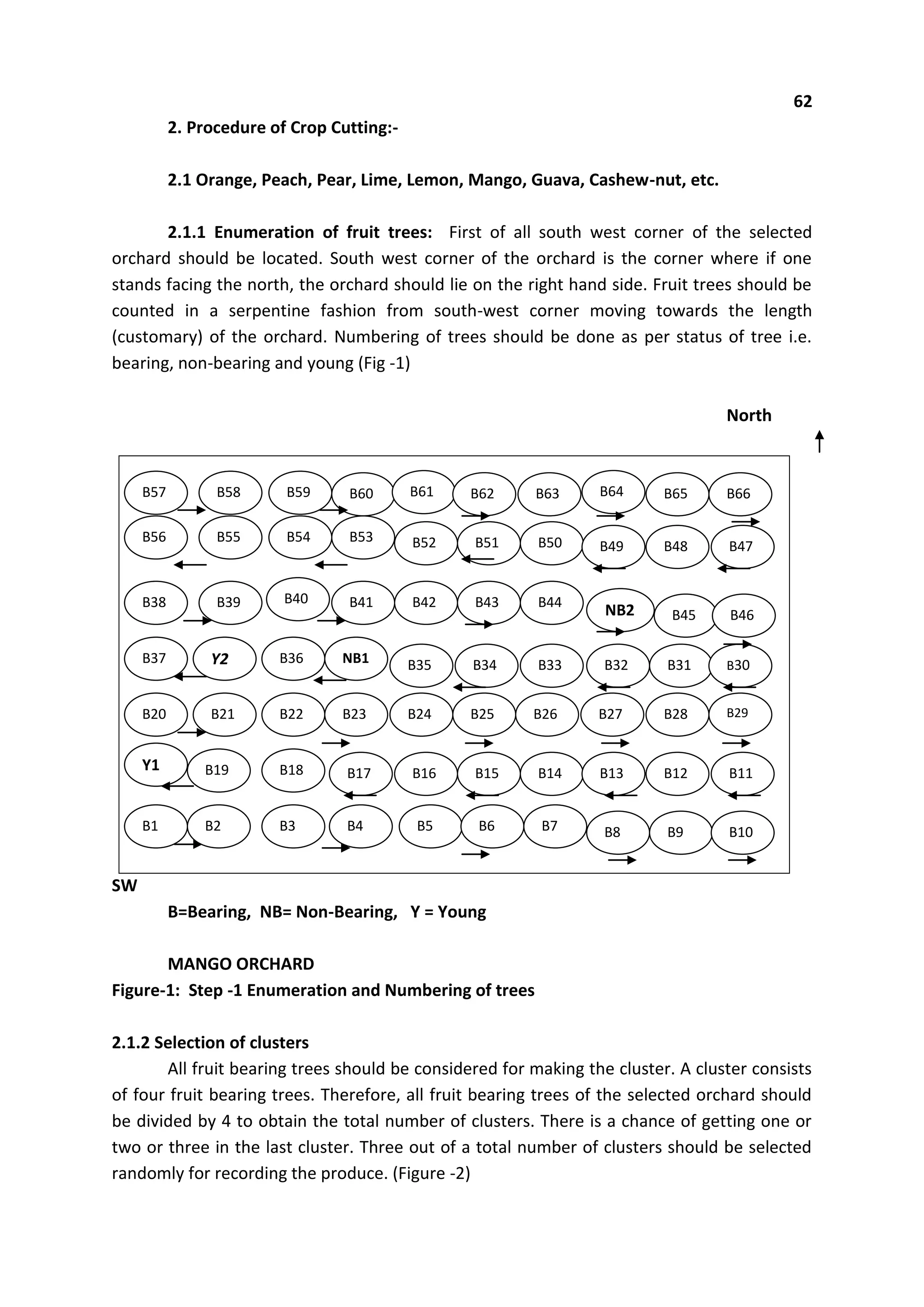 Manual of Crop Cutting Experiment.PDF