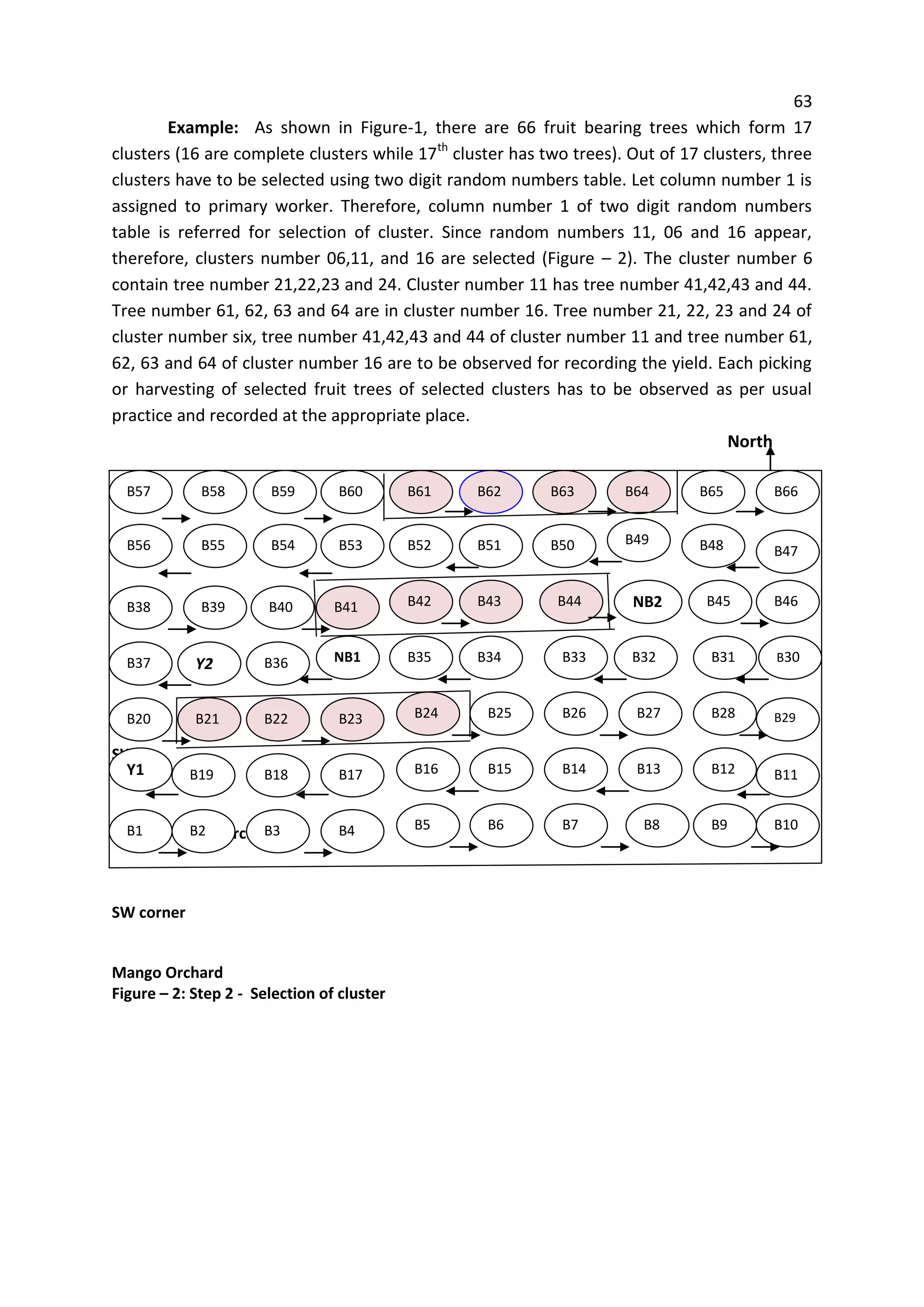 Manual of Crop Cutting Experiment.PDF
