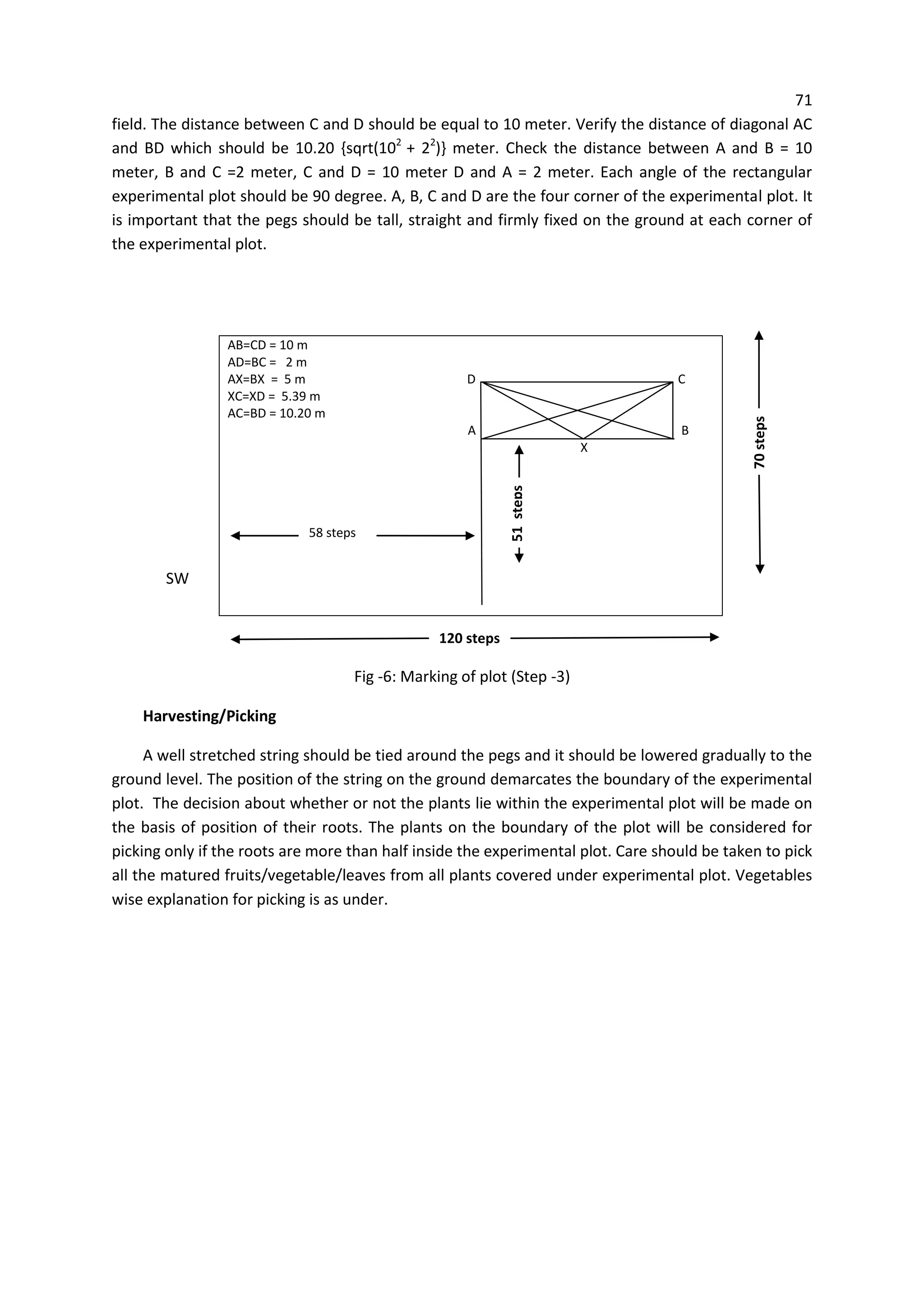 Manual of Crop Cutting Experiment.PDF